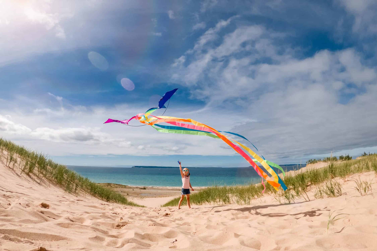 Best Types of Kites for Beginners – Pro Kites USA