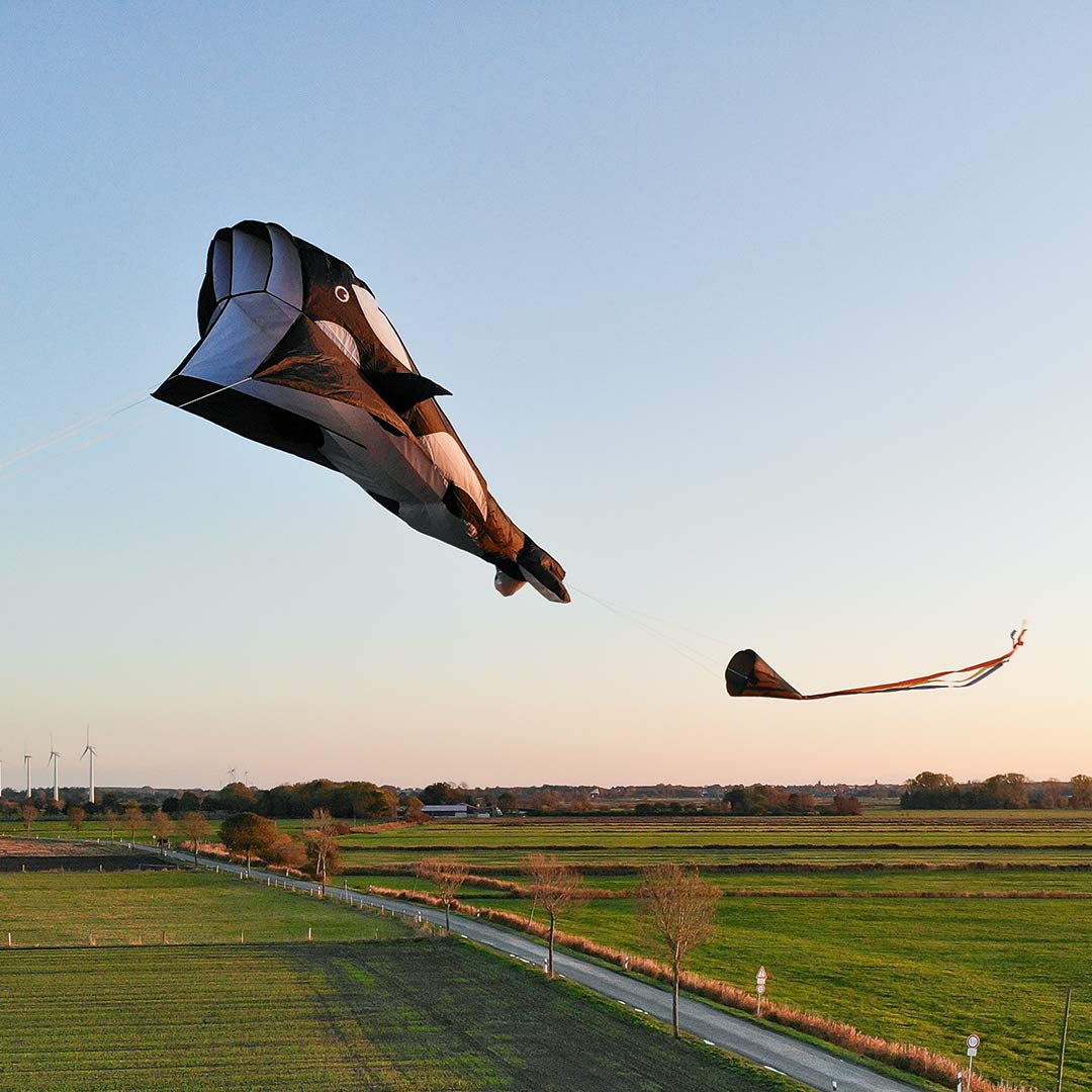 Inflatable Kites – Pro Kites USA