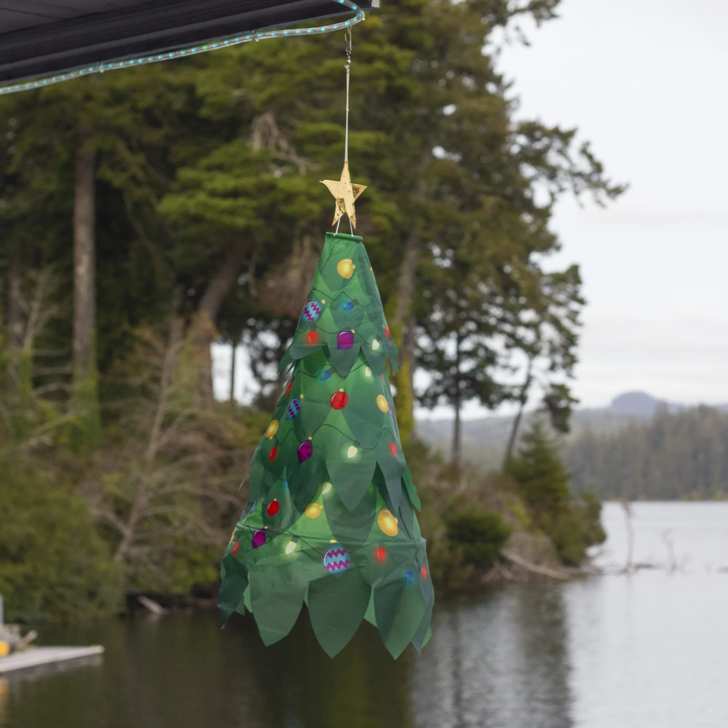 Winter - Pro Kites USA