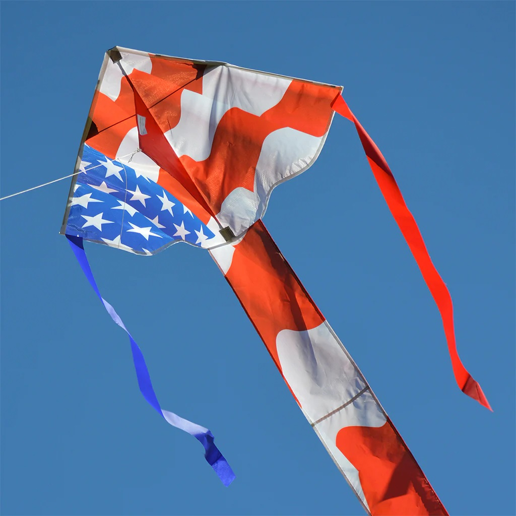 Easy To Fly Kites - Pro Kites USA