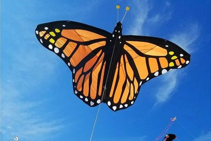 Animal Kites – Pro Kites USA