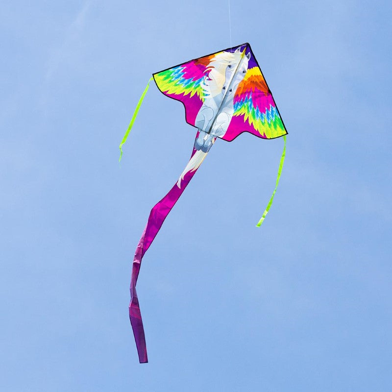 47" Simple Flyer Fantasy Kite - Pegasus – Pro Kites USA