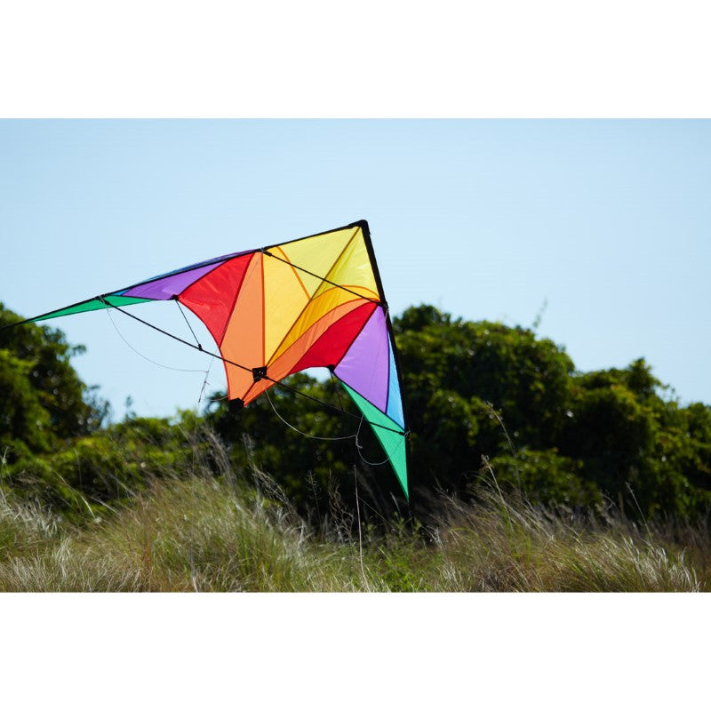 Eco Trigger Stunt Kite - Rainbow – Pro Kites USA
