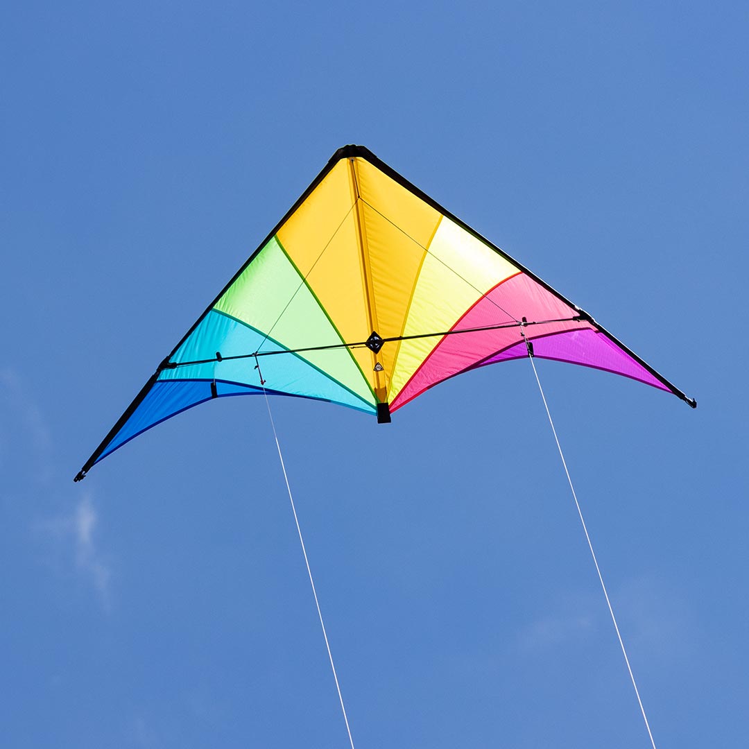 Dual Line Stunt Kites – Pro Kites USA