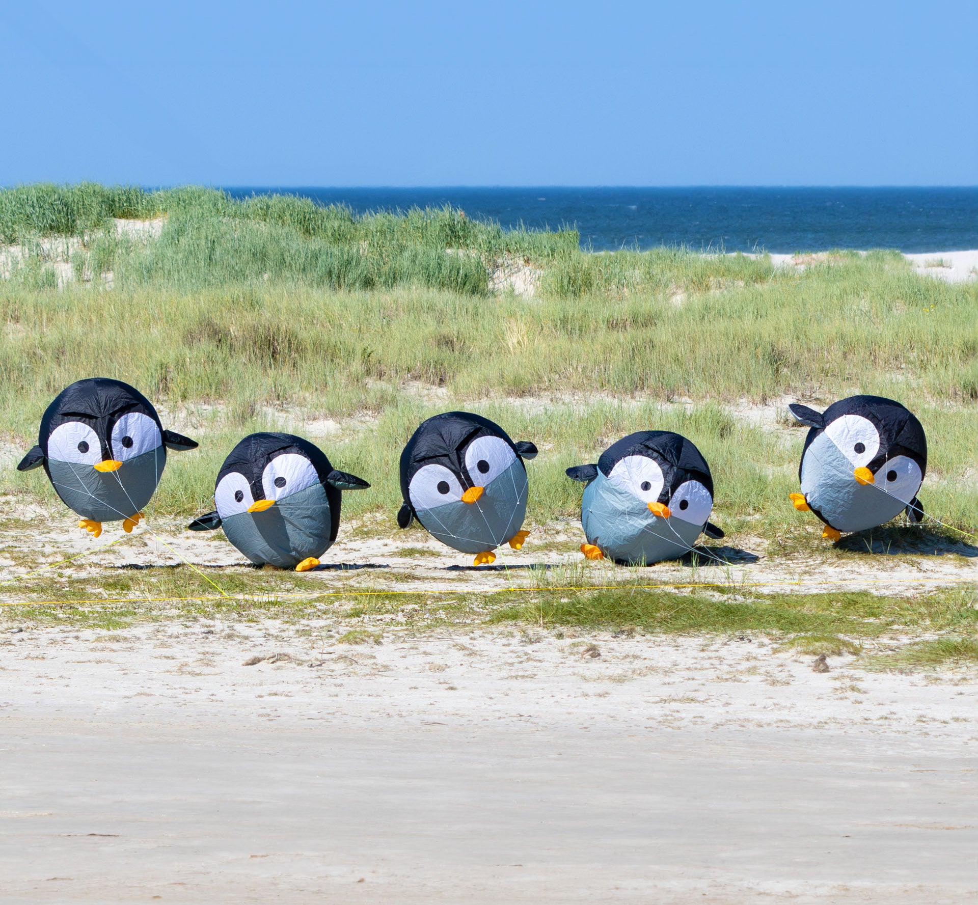 Gigantic Kites - Pro Kites USA