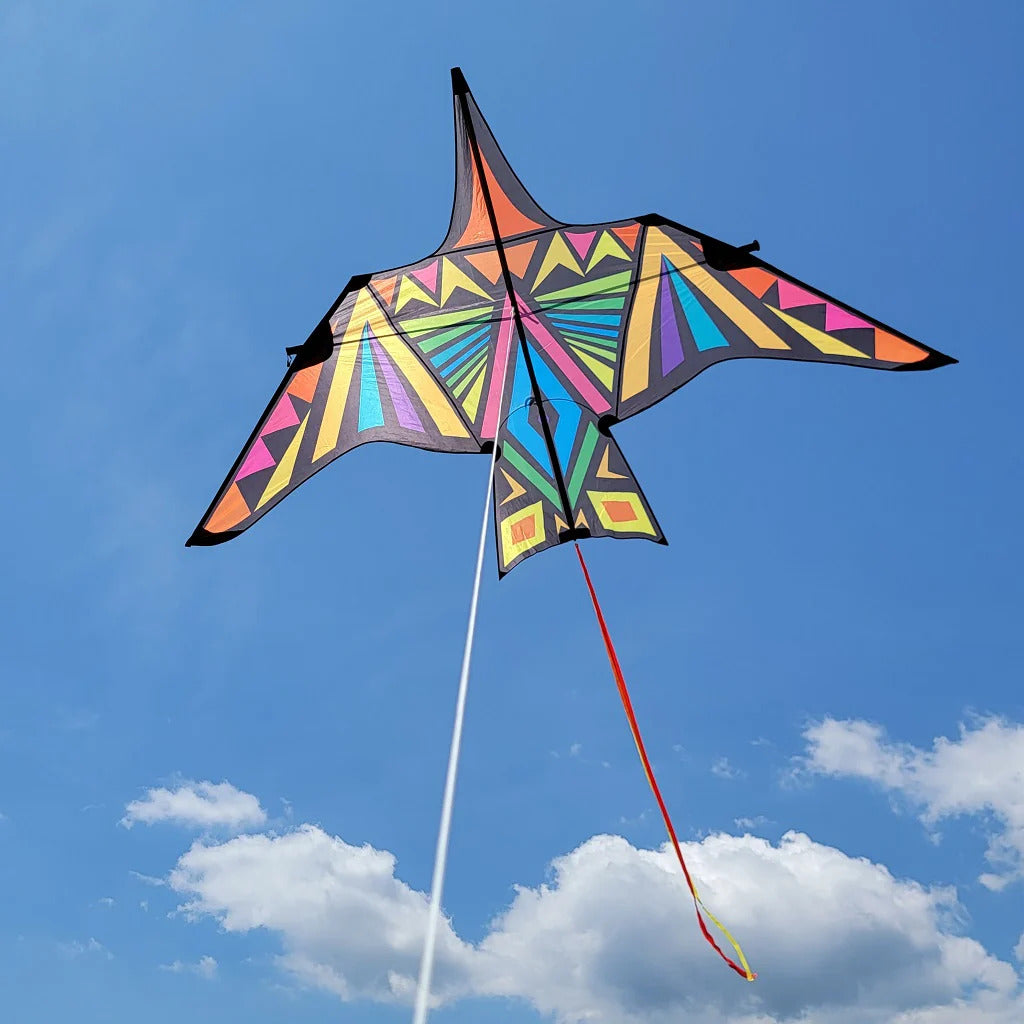 16' Thunderbird Kite - Rainbow Geometric – Pro Kites USA