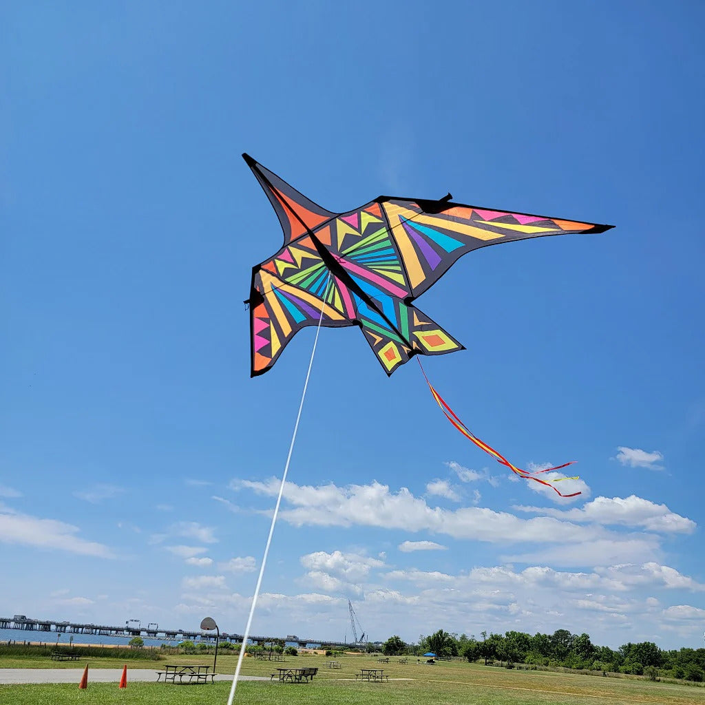 Giant Kites - Pro Kites USA