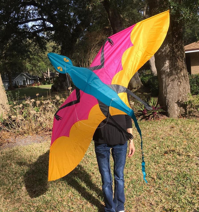 Gigantic Kites - Pro Kites USA