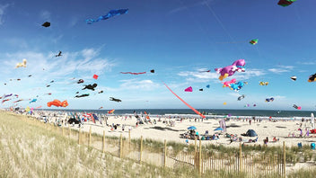Kites - Kites For Sale - Buy Kites at Pro Kites USA