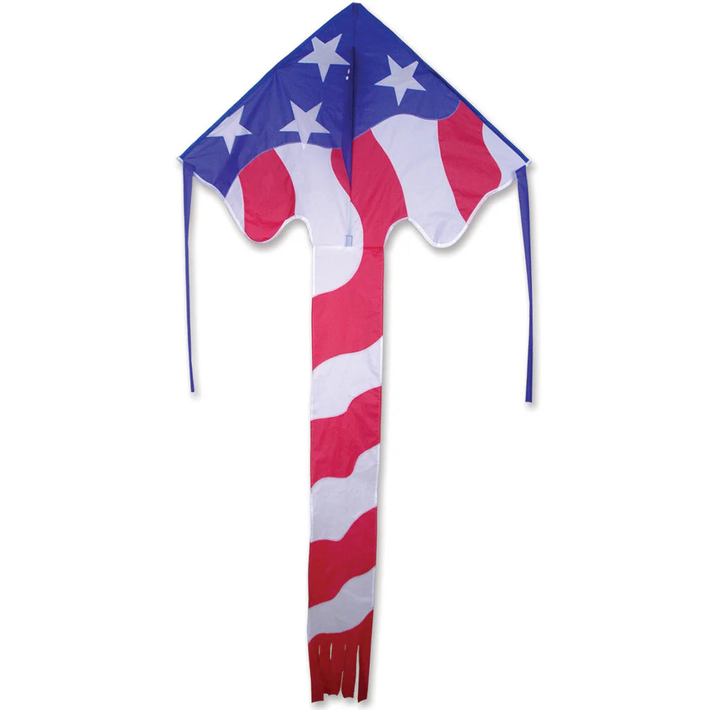 46" Large Patterned Easy Flyer Kite - Patriotic – Pro Kites USA