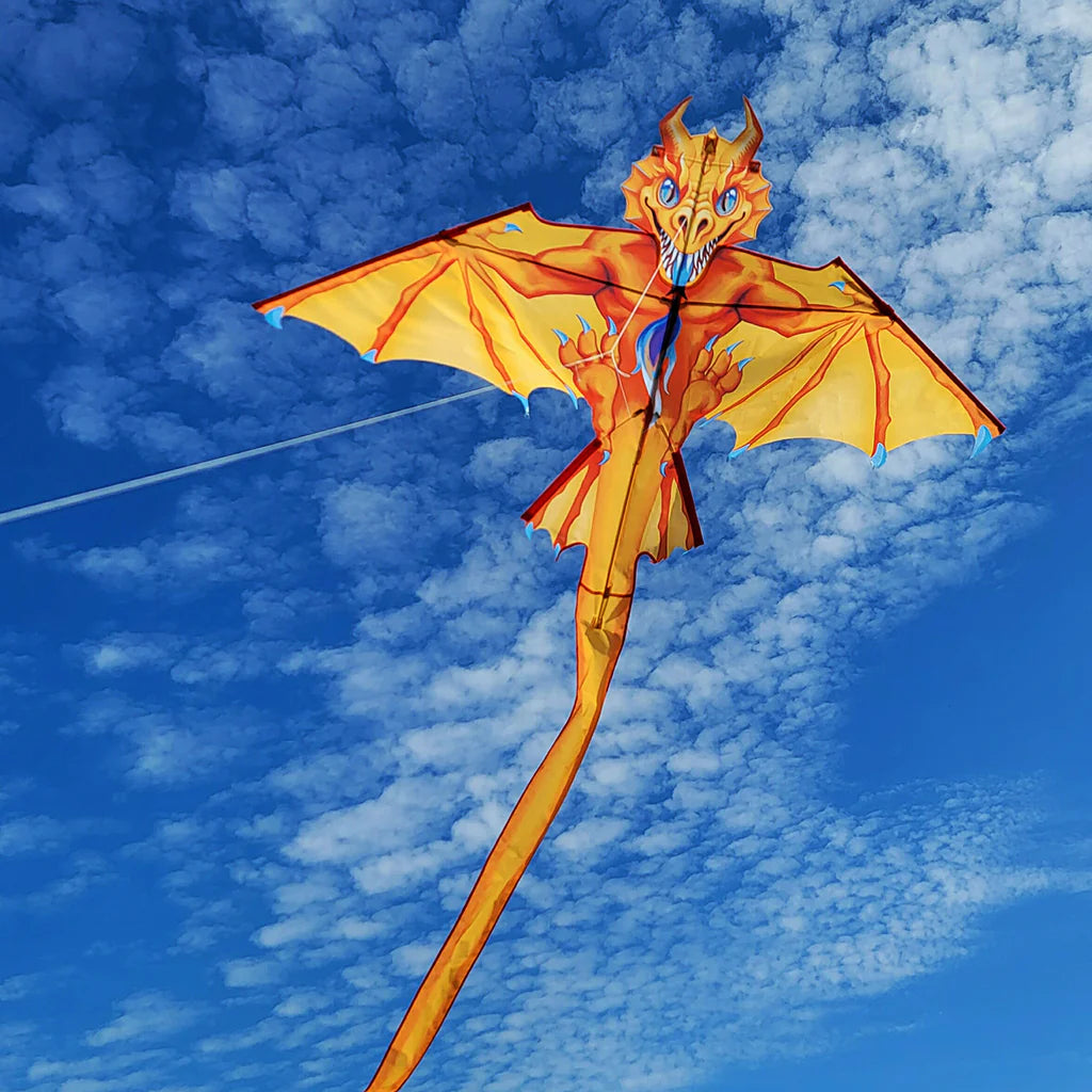 2D Dragon Kite - Flamewing – Pro Kites USA