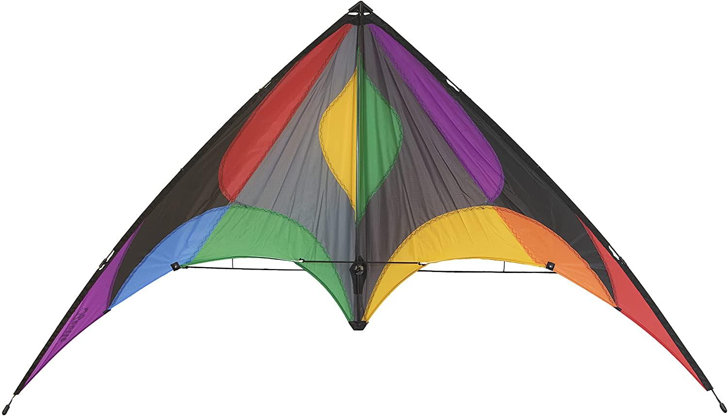 56" Beetle Stunt Kite - Rainbow – Pro Kites USA