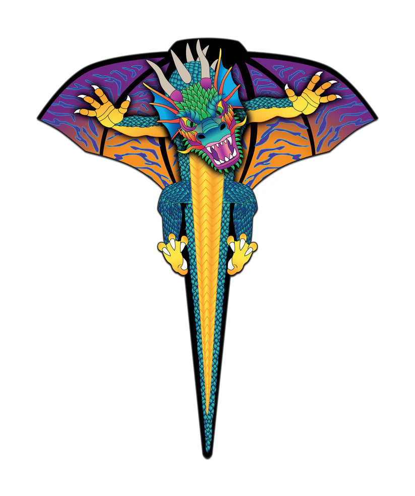 65" SuperSize 2D Dragon Kite – Pro Kites USA