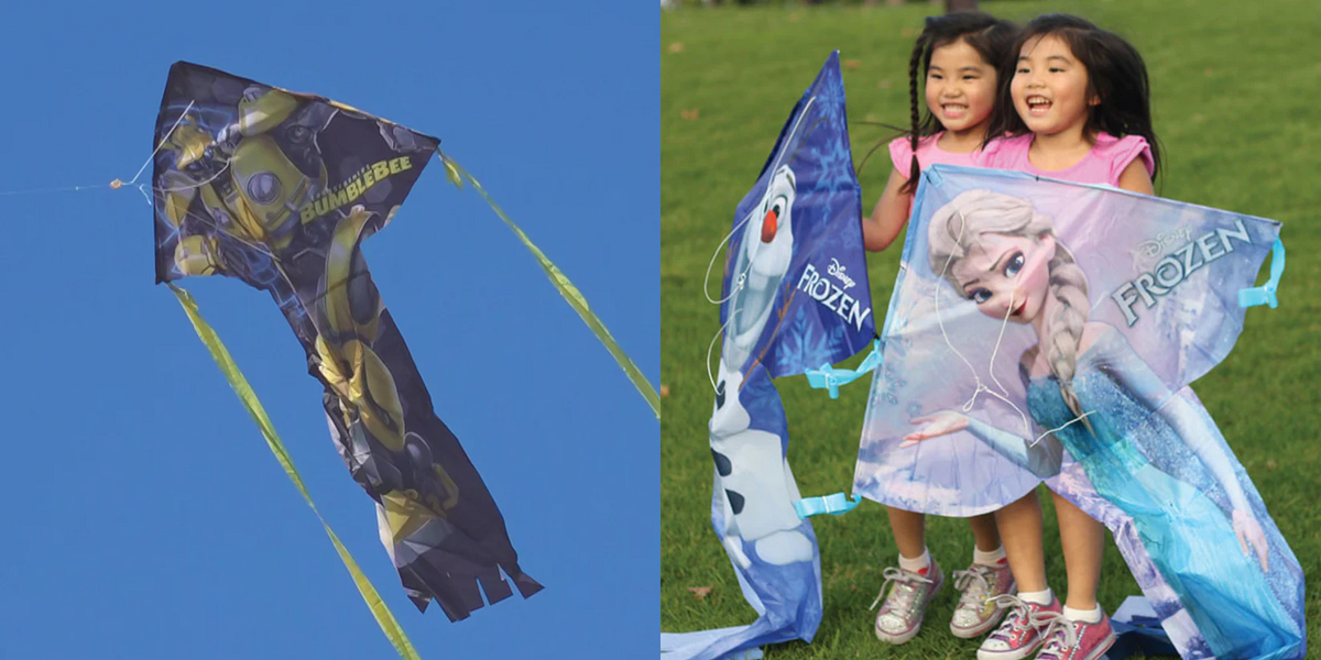 Kites - Kites For Sale - Buy Kites at Pro Kites USA