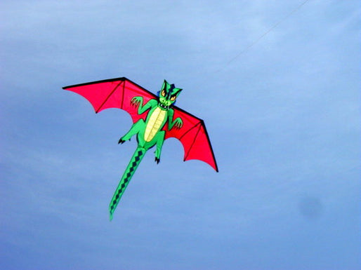 Kites - Kites For Sale - Buy Kites at Pro Kites USA