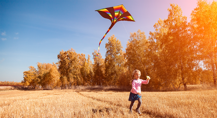 About Us – Pro Kites USA