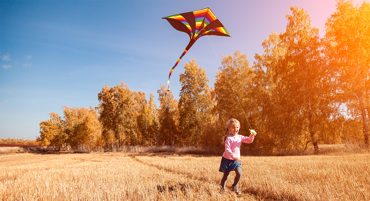 About Us – Pro Kites USA
