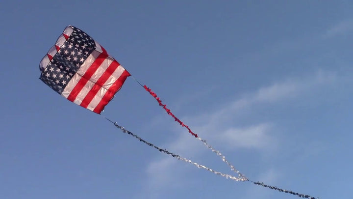 Kites - Kites For Sale - Buy Kites at Pro Kites USA