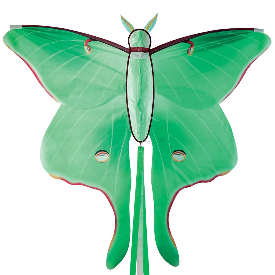 48" Luna Moth Kite – Pro Kites USA