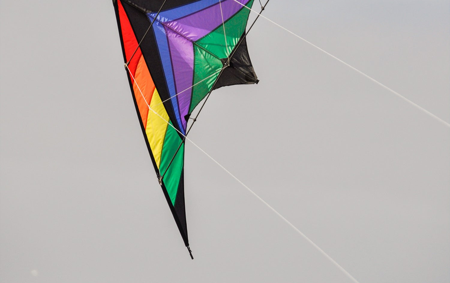 Kites For Adults – Pro Kites USA