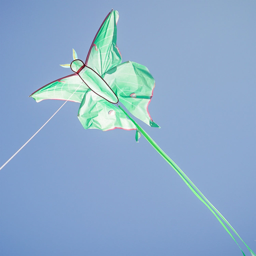 48" Luna Moth Kite – Pro Kites USA
