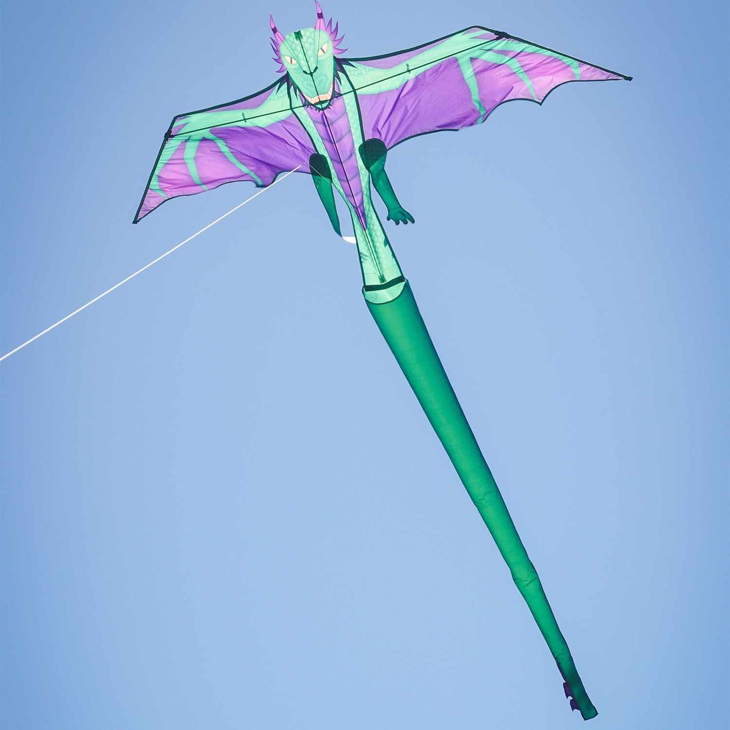 90" Dragon Kite – Pro Kites USA