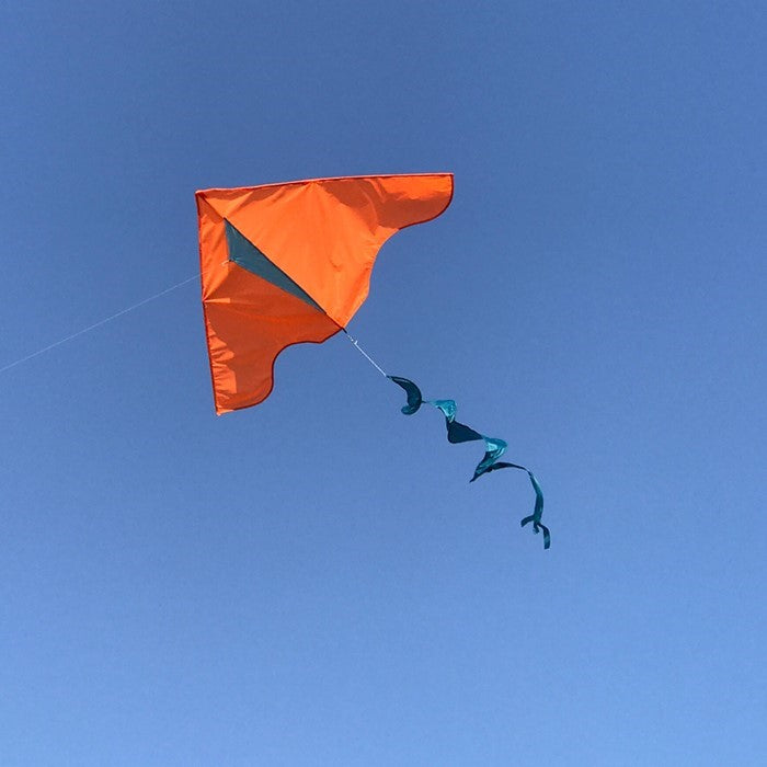 Kites - Kites For Sale - Buy Kites at Pro Kites USA