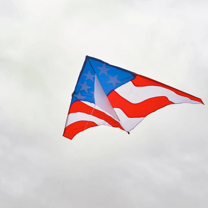 Kites - Kites For Sale - Buy Kites at Pro Kites USA