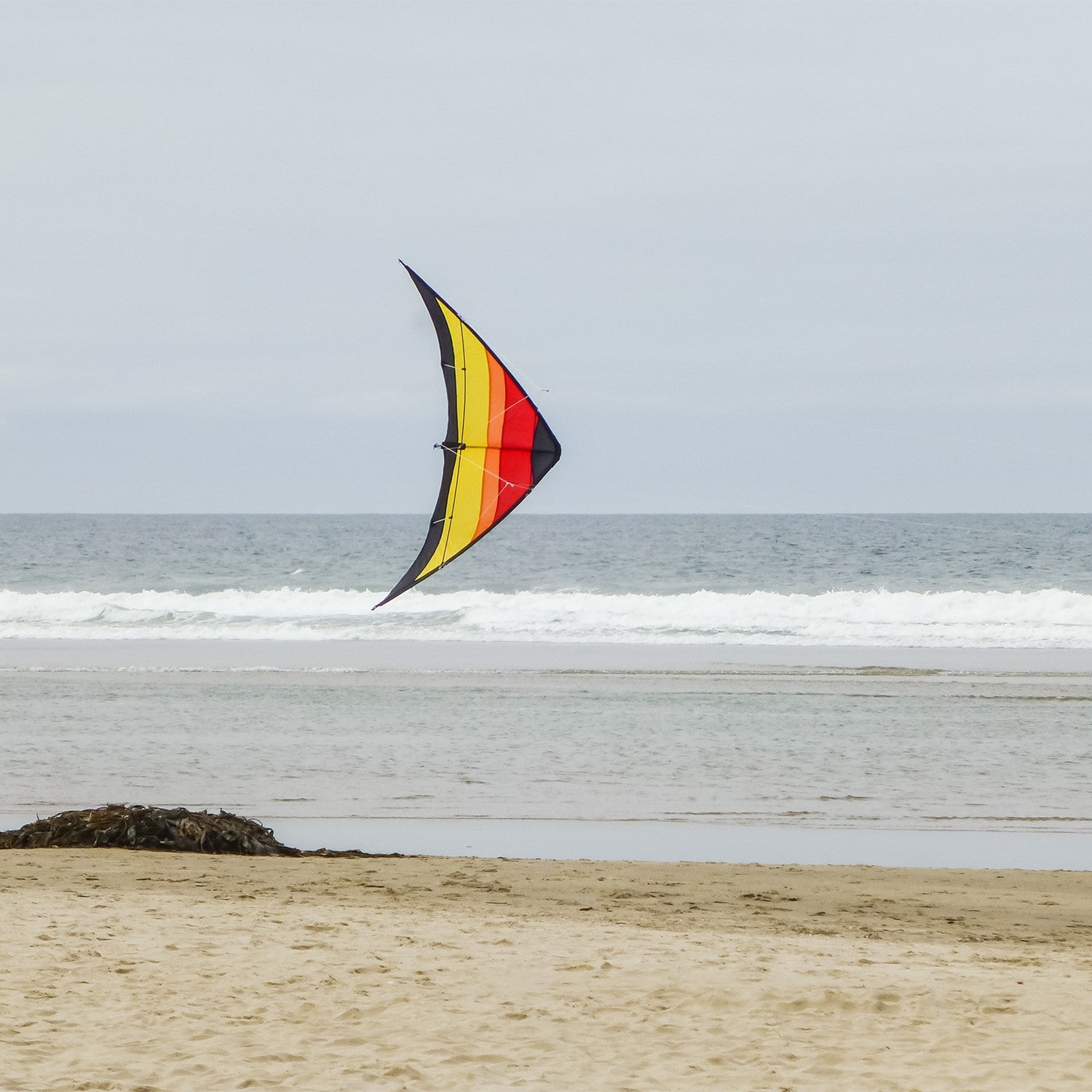 55" Sunset Sport Kite – Pro Kites USA