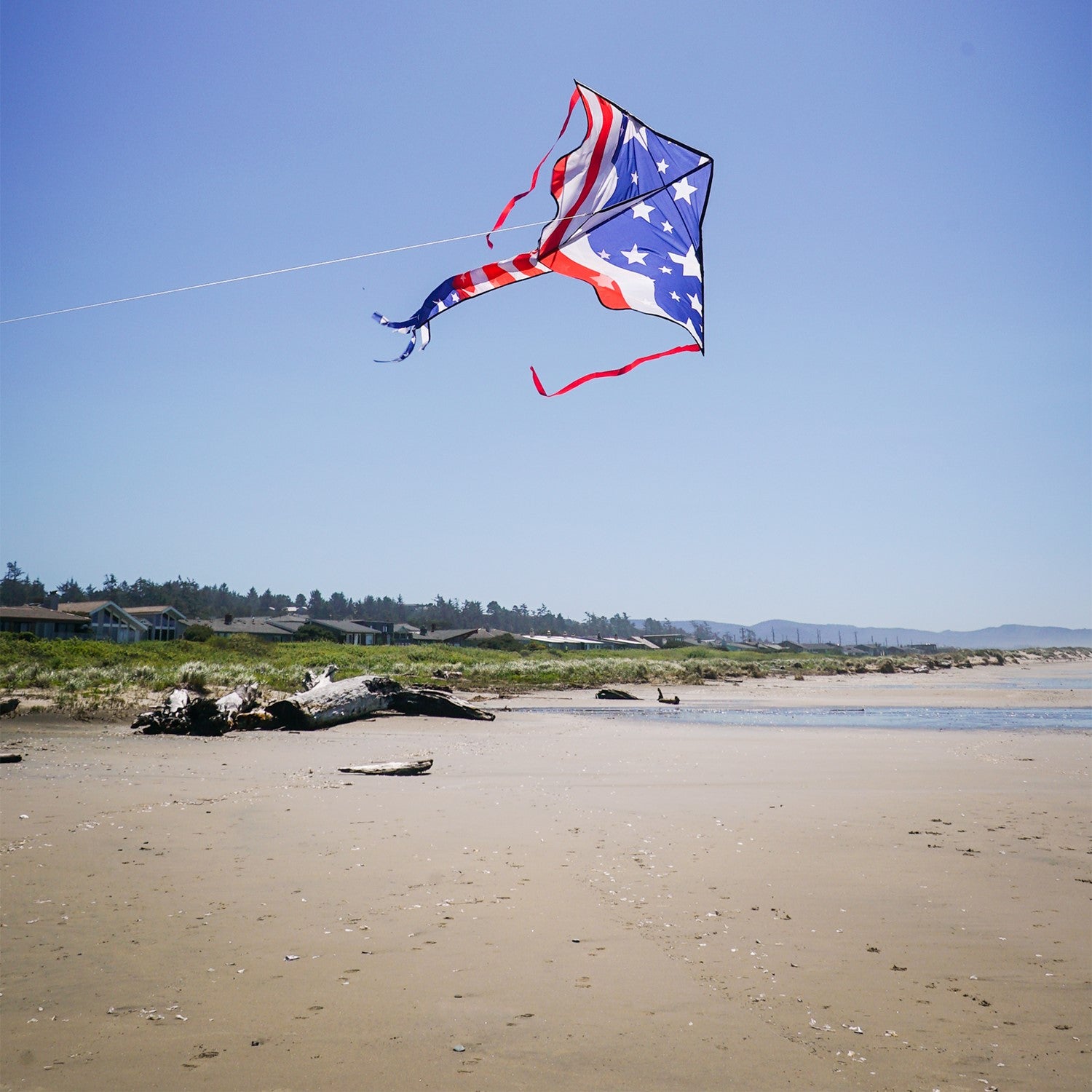 46" Fly-Hi Kite - Patriotic – Pro Kites USA