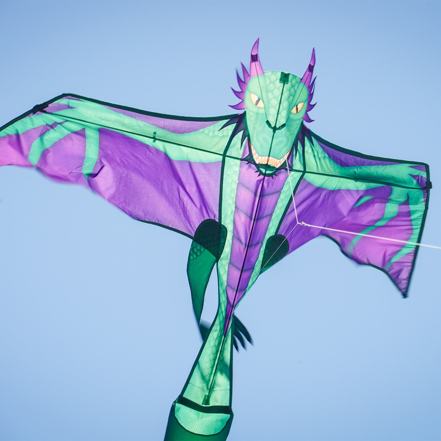 90" Dragon Kite – Pro Kites USA
