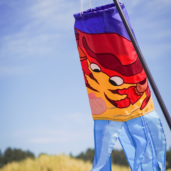 40" Coastal Windsock - Crab – Pro Kites USA