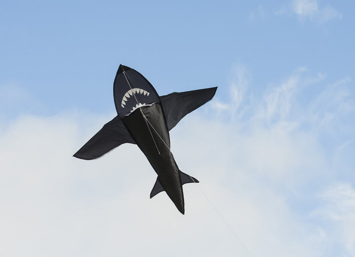 Kites - Kites For Sale - Buy Kites at Pro Kites USA