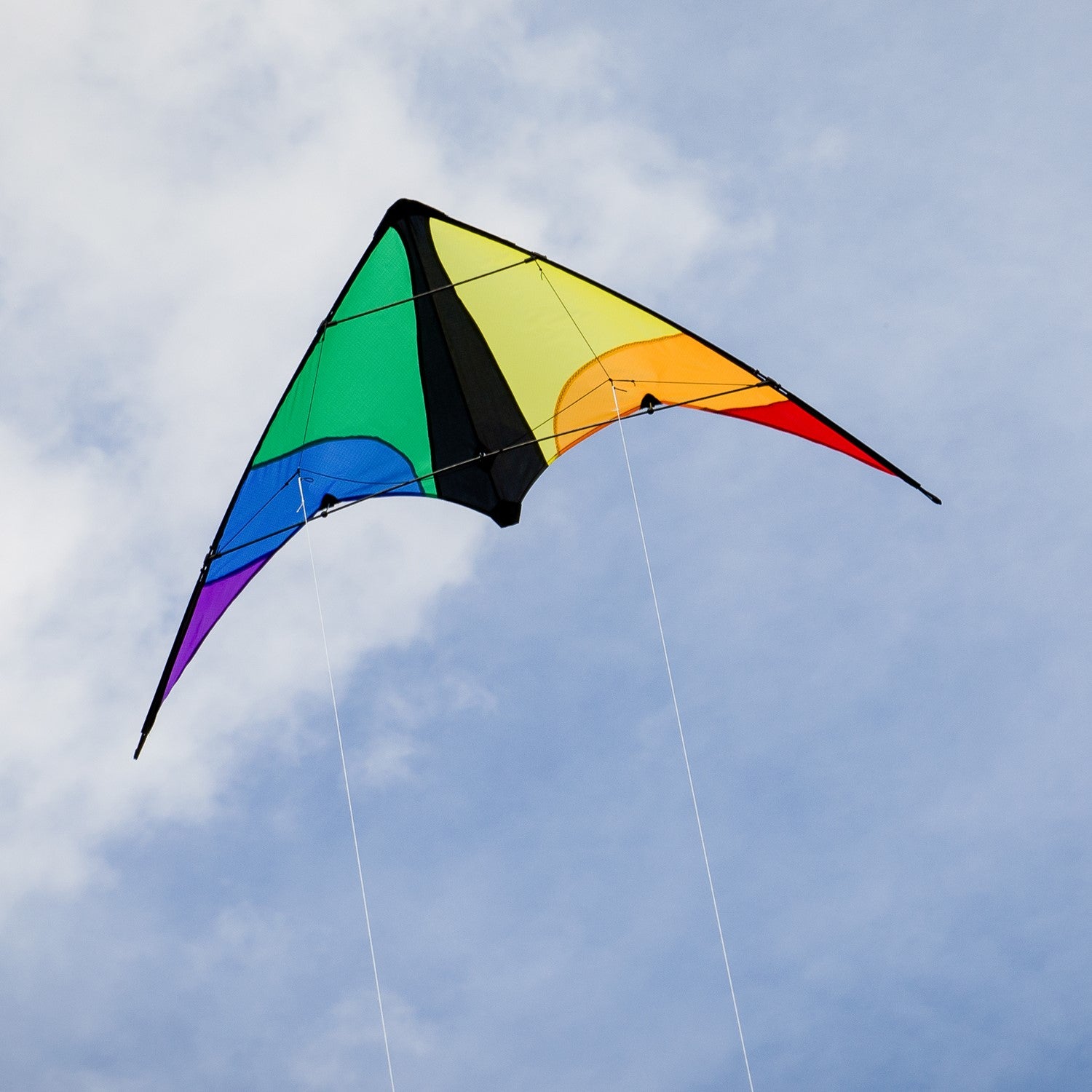 48" Colorwave Sport Kite – Pro Kites USA