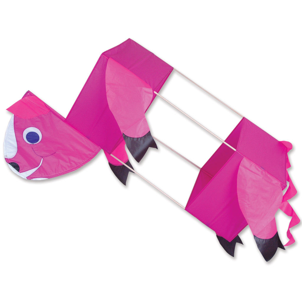 Box Kites | Buy Kites at Pro Kites USA