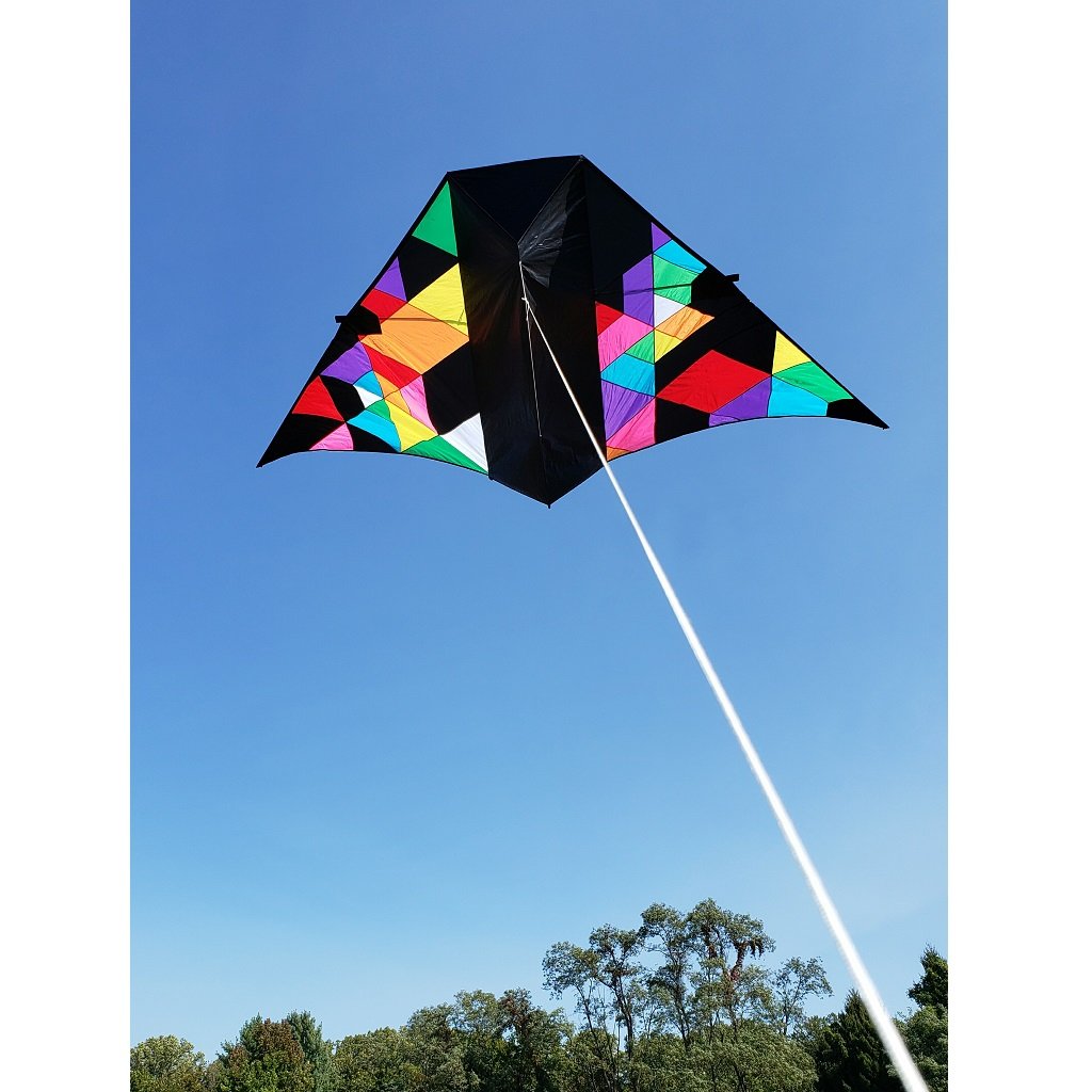 16' Tunnel Delta - Geometric – Pro Kites USA