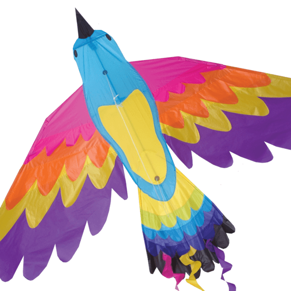 70" Paradise Bird Kite – Pro Kites USA