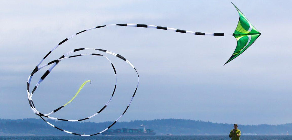 Kites - Kites For Sale - Buy Kites at Pro Kites USA